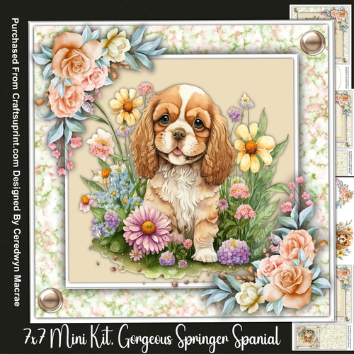 7x7 Mini Kit , Gorgeous Springer Spanial - CUP1197497_1398 | Craftsuprint