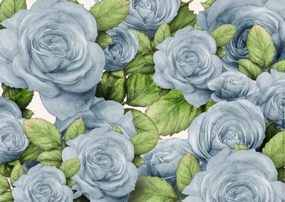 Rose Backing Paper Light Blue - CUP387079_437 | Craftsuprint
