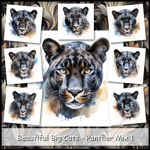 Beautiful Big Cats - Panther Mix 1 - CUP1306332_442 | Craftsuprint